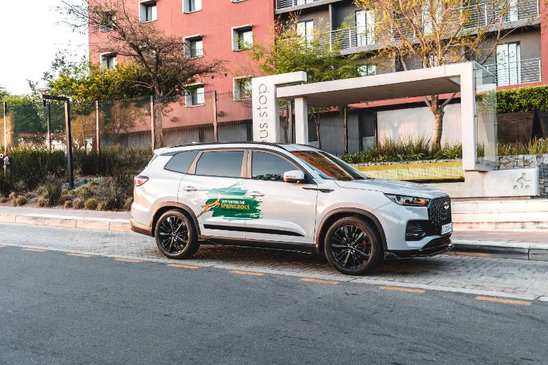 Chery Sandton and Chery Northcliff: United in Support for the ...